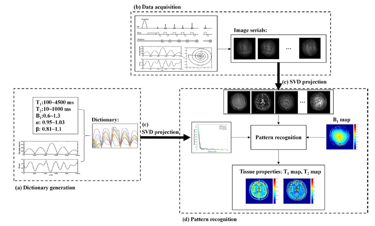 科研进展----劳特伯生物医学成像研究中心